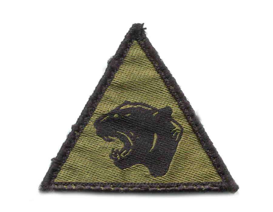 Шеврон 19th Light Brigade olive.